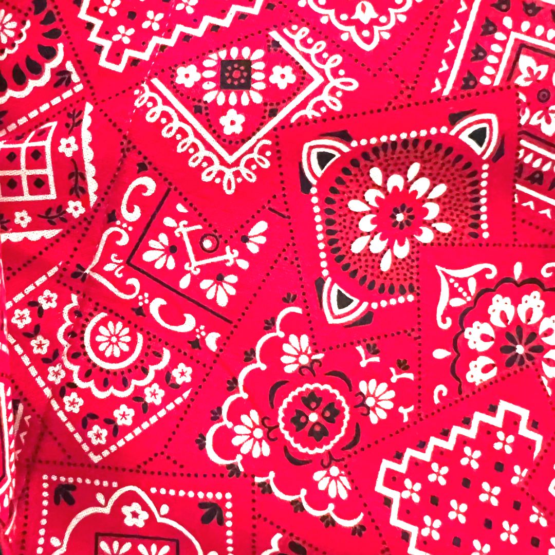 Bandana- Red Paisley – The Total Animal